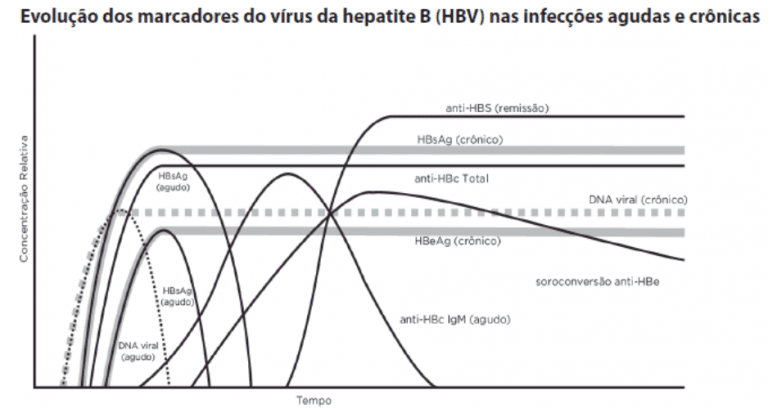 Diagnóstico da Infecção pelo Vírus da Hepatite B (HBV) | Laboratório ...